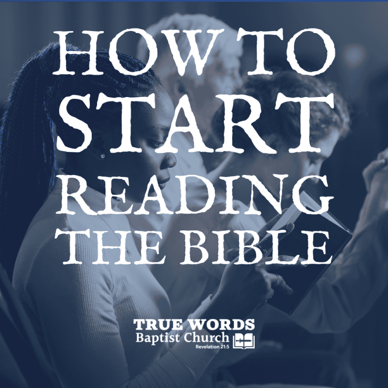 Bible Basics For Beginners - 10 Complete KJV Starter Guides | True ...