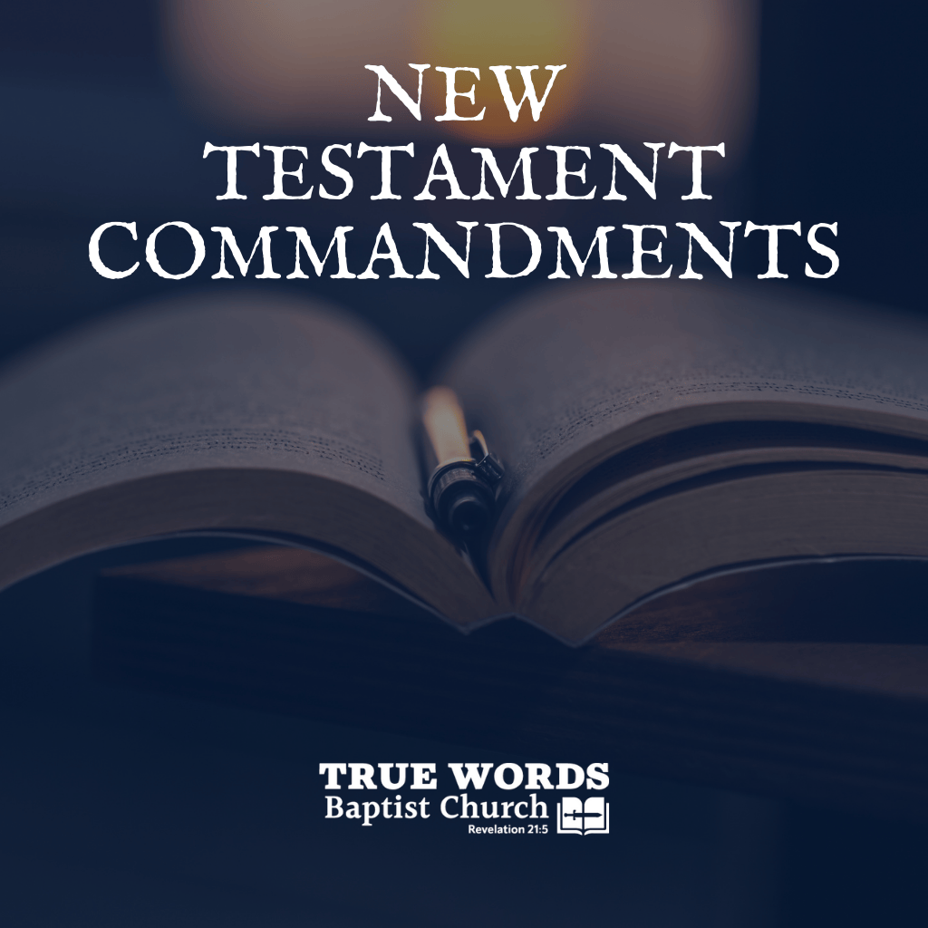 Bible Commandments Explained: Clear Explanations Of Biblical Commands ...