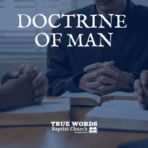 Bible Doctrines Explained: Foundations Of Biblical Truth | True Words ...