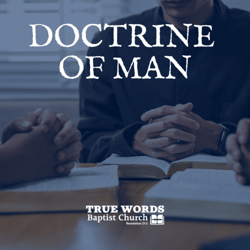 Bible Doctrines Explained: Foundations Of Biblical Truth | True Words ...