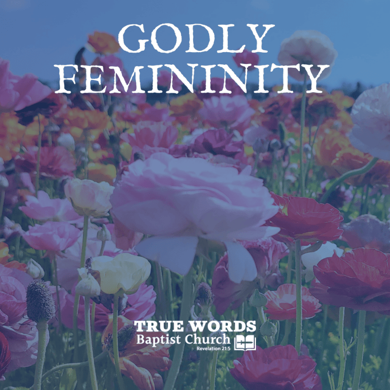 Biblical Womanhood: God’s Design For Women | True Words Baptist Church