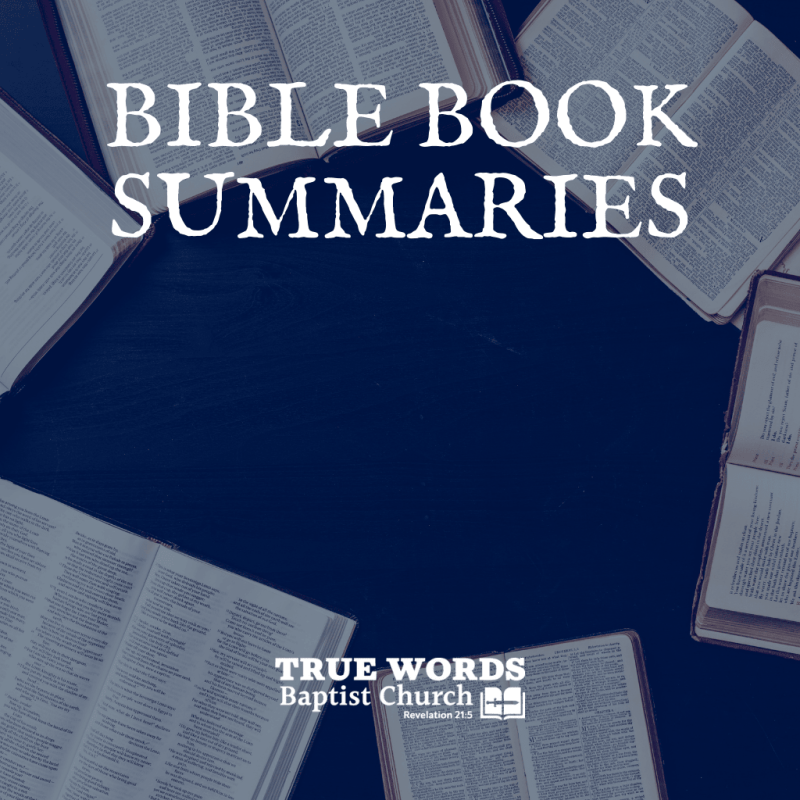 Books Of The Bible Explained: 8 Powerful KJV Guides To Master Every ...