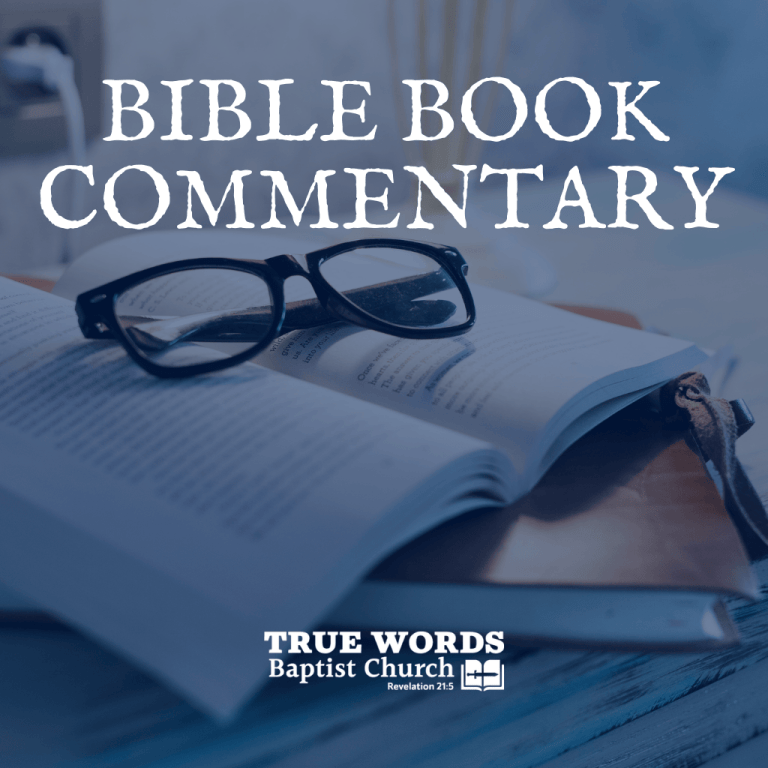 Books Of The Bible Explained: 8 Powerful KJV Guides To Master Every ...